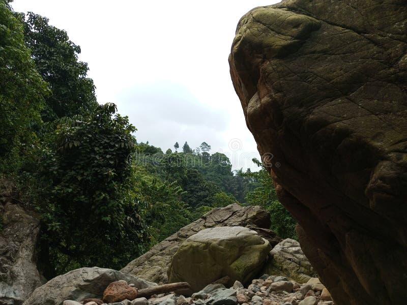 View Big River Rock Scenery in the Middle of the Forest in Bogor Stock ...