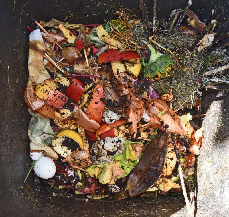 Bio Container with Various Organic Wastes for Recycling Stock Image ...