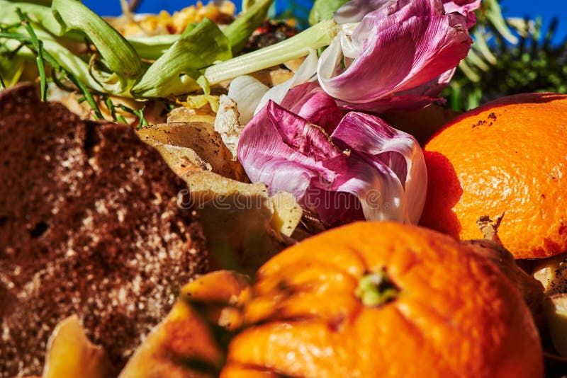 Bio Container with Various Organic Wastes for Recycling Stock Image ...