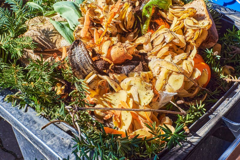 View into a Bio Container with Various Organic Wastes for Recycling ...