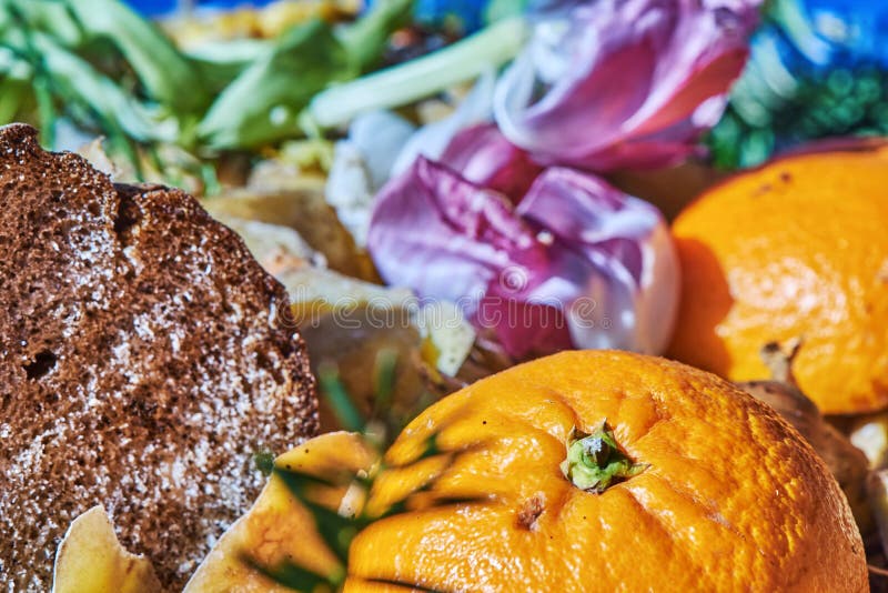 View into a Bio Container with Various Organic Wastes for Recycling ...