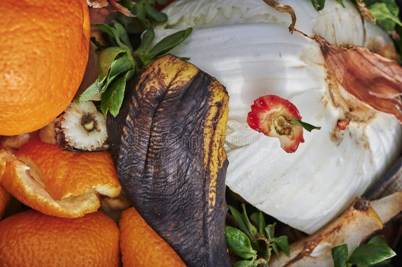 View into a Bio Container with Various Organic Wastes Stock Image ...