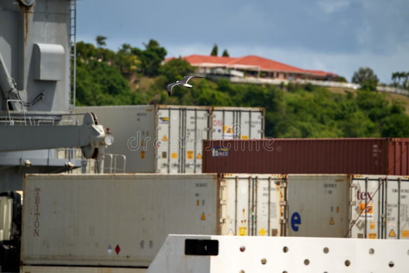 View of a Bird Flying Over the Cargo Containers Under the Blue Sky ...