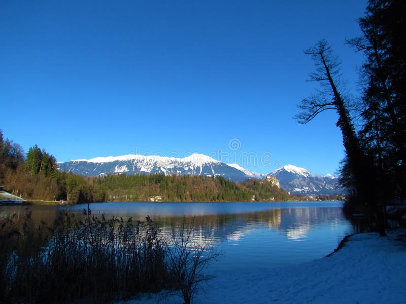 View of Bled Lake with Forest Covered Hill in the Back Stock Image ...