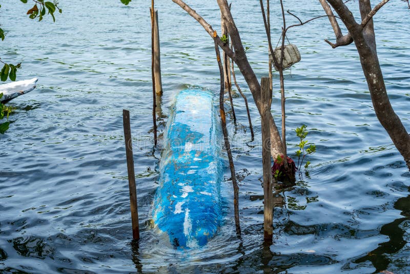 View of a Blue Canoe Turned Upside Down on a River, Under Aquatic Trees ...