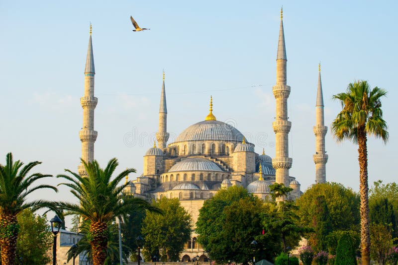 View on Blue Mosque in the Morning - Istanbul Stock Photo - Image of ...