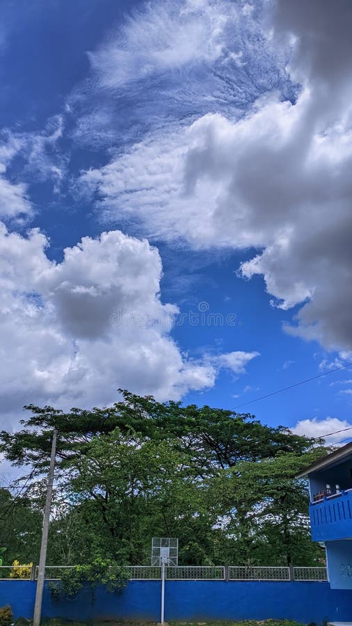 View of the Blue Sky with a Very Large Ornate Tree Stock Photo - Image ...