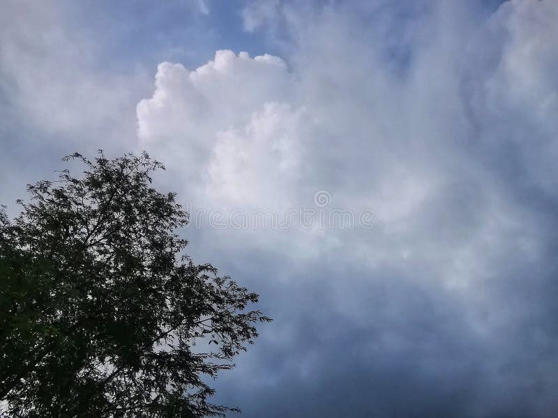 View of Blue Sky, White Clouds and Shady Trees in the Housing Complex ...