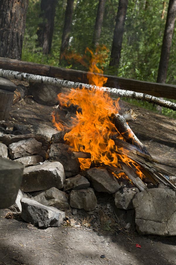 View of a Bonfire Burning in Bright Fire in the Forest Near a Makeshift ...