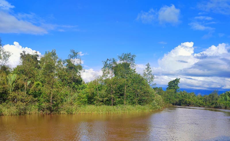 Bongawan Stock Photos - Free & Royalty-Free Stock Photos from Dreamstime