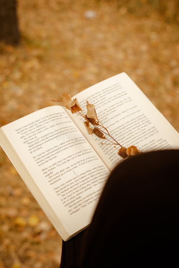 A View of the Book Over the Shoulder of the Person Reading Stock Image ...