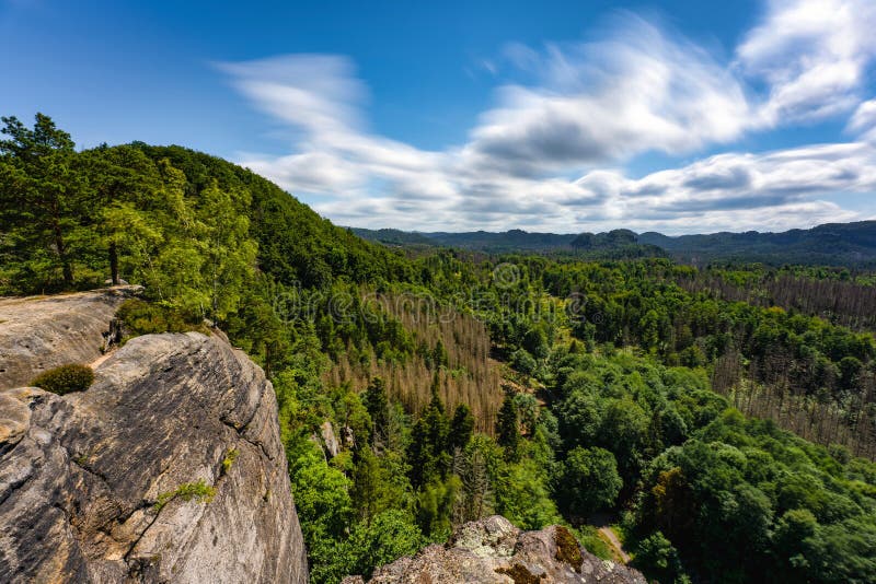 View of the Botanical Forest Trees Landscape Under the Blue Sky with ...