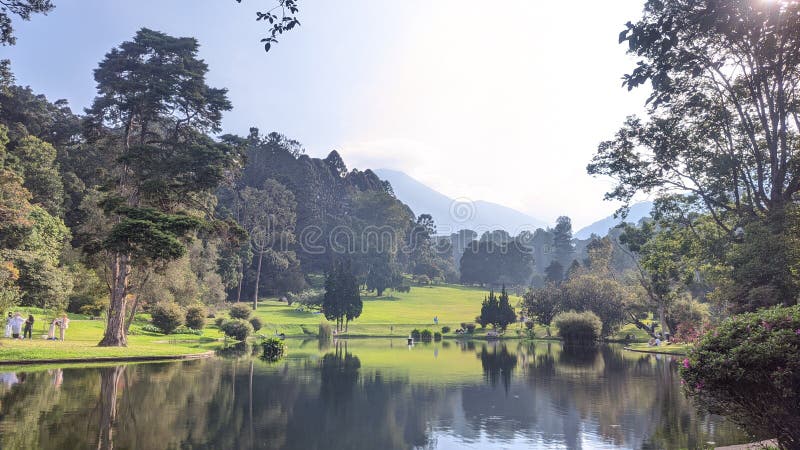 The View Botanical Garden at Cipanas Bogor Stock Photo - Image of ...