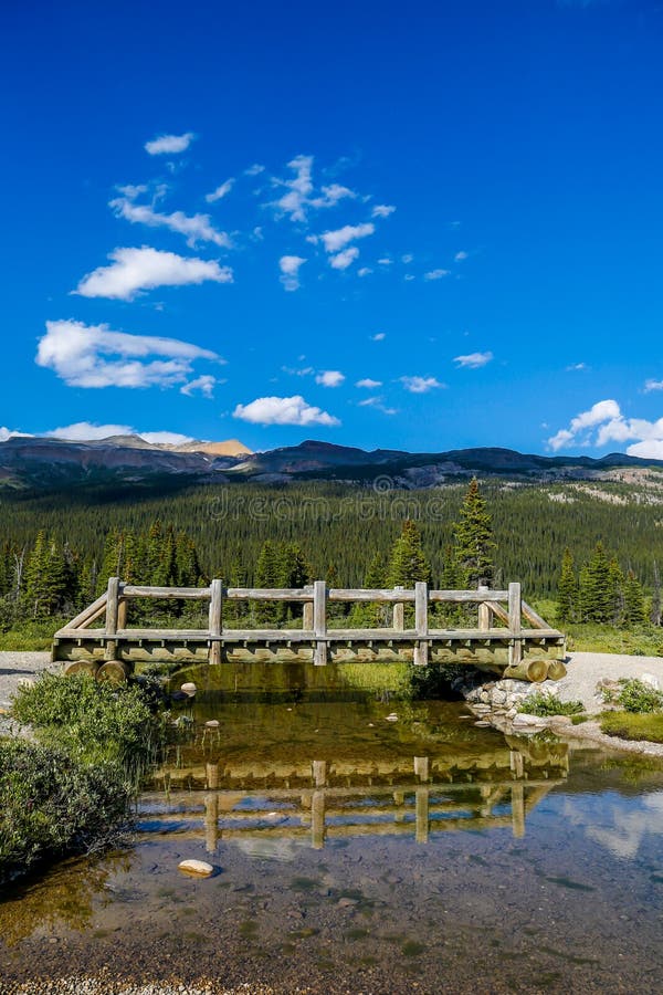 A View of Bow Lake in the Canadian Rockies Stock Photo - Image of ...
