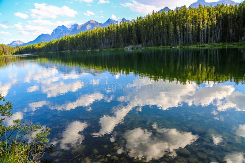 A View of Bow Lake in the Canadian Rockies Stock Image - Image of ...