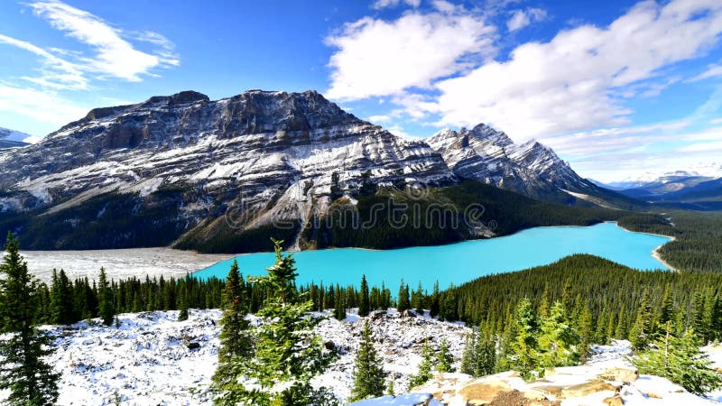 View from Bow Summit of Peyto Lake in, Canada Stock Video - Video of ...