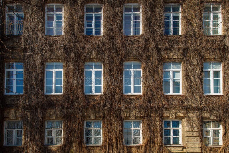 View of a Brick Wall with Windows Stock Photo - Image of fall, park ...