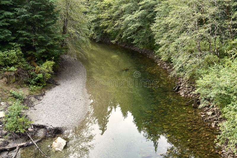 View from a Bridge Looking Down the River with the Bright Green Trees ...