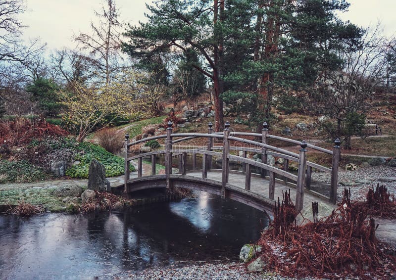 View of Bridge Over River in Forest Stock Image - Image of forest ...