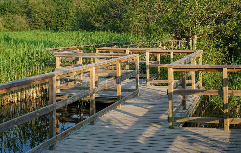 View of a Bridge Over Wetland Stock Image - Image of fence, path: 318887905