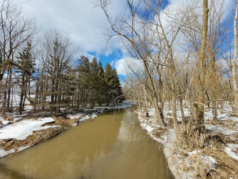 Muddy Waters of Spring stock photo. Image of waterway - 275166684