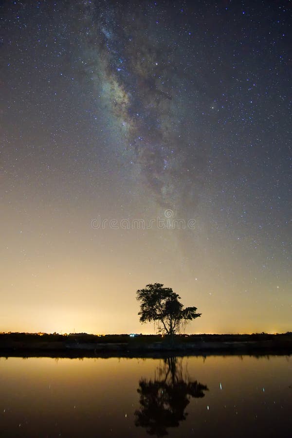 View of Bright Milkyway and Small Tree with Reflection Across a River ...