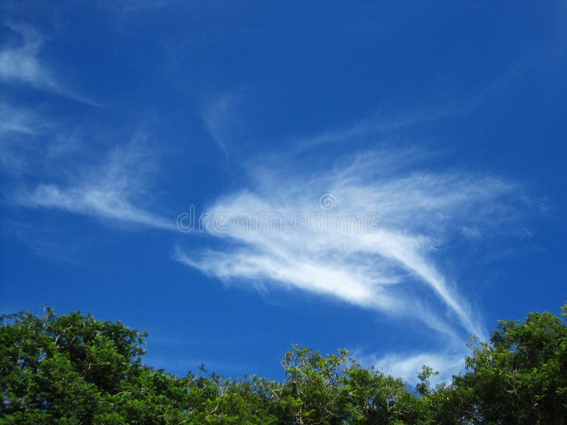Sweeping Fleecy Clouds in Blue Sky Stock Image - Image of design ...