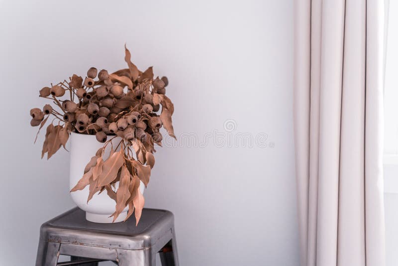 Gumtree Room Stock Photos - Free & Royalty-Free Stock Photos from ...