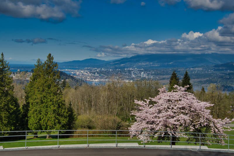 A View of Burnaby Mountain Park in Cherry Blossom Season. BC Canada ...