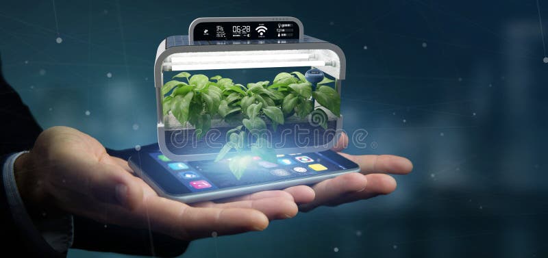 Businesmann Holding a Digital Vegetal Plant Connected Stock Image ...
