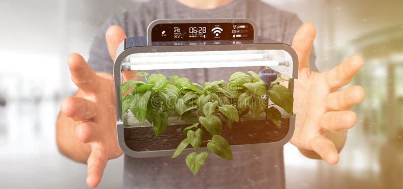Businesmann Holding a Digital Vegetal Plant Connected Stock Image ...