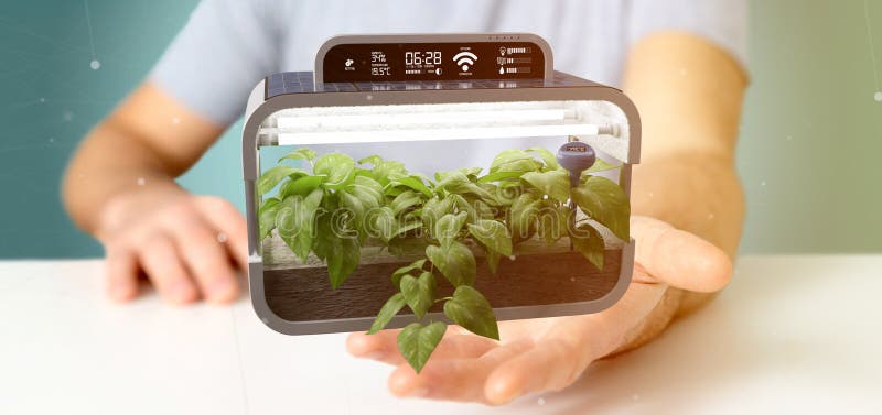 Businesmann Holding a Digital Vegetal Plant Connected Stock Photo ...