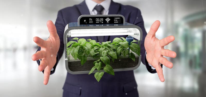 Businesmann Holding a Digital Vegetal Plant Connected Stock Photo ...