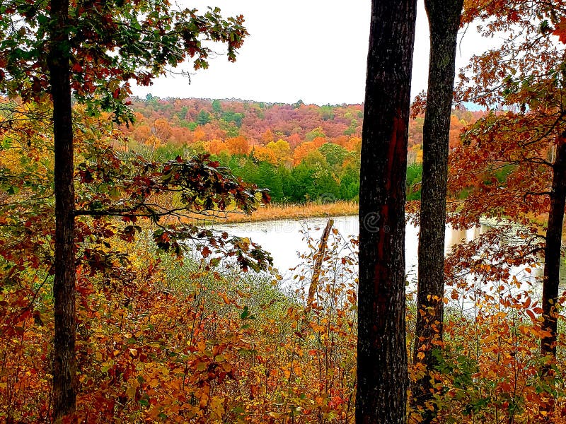 View from a Cabin Southern Missouri Fall Stock Image - Image of ...
