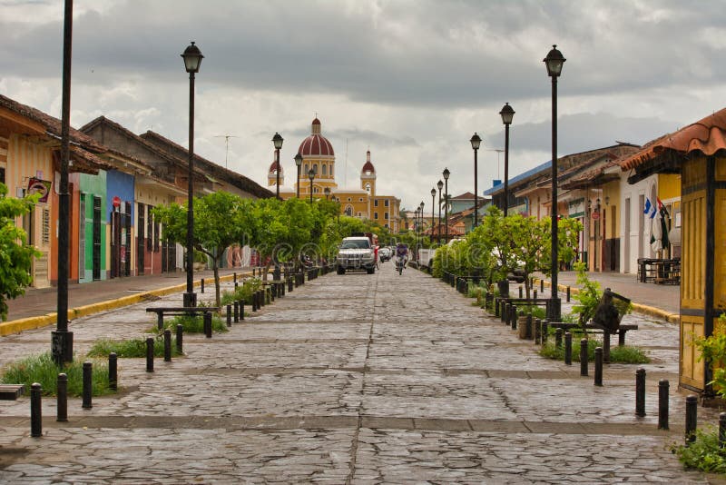 View of Calzada San Pedro with Its Trees and Nature Stock Image - Image ...