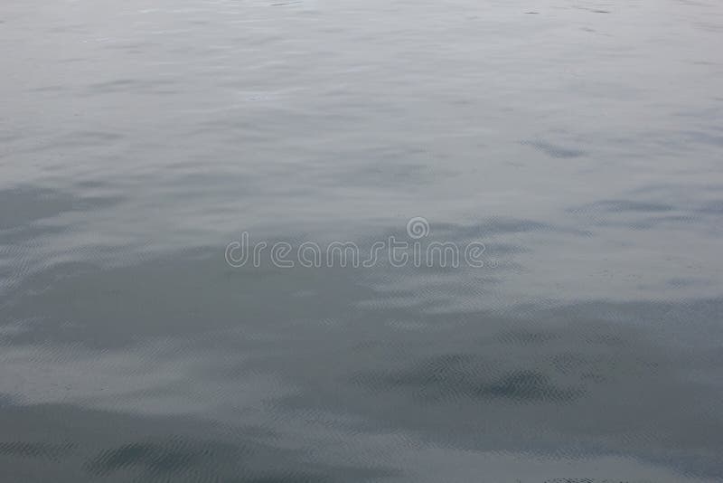 401 Murky Water Texture Stock Photos - Free & Royalty-Free Stock Photos ...