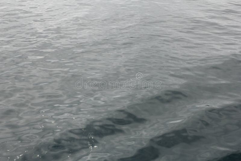 401 Murky Water Texture Stock Photos - Free & Royalty-Free Stock Photos ...