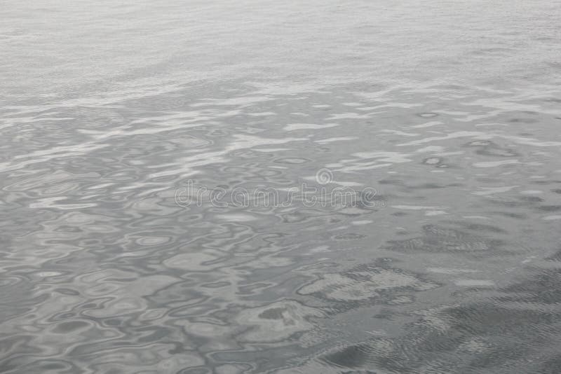 401 Murky Water Texture Stock Photos - Free & Royalty-Free Stock Photos ...