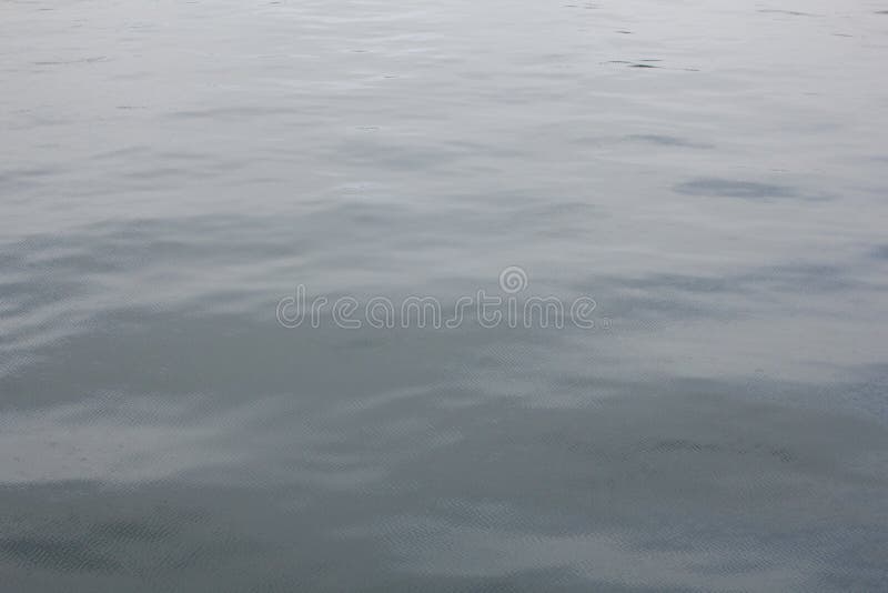 401 Murky Water Texture Stock Photos - Free & Royalty-Free Stock Photos ...