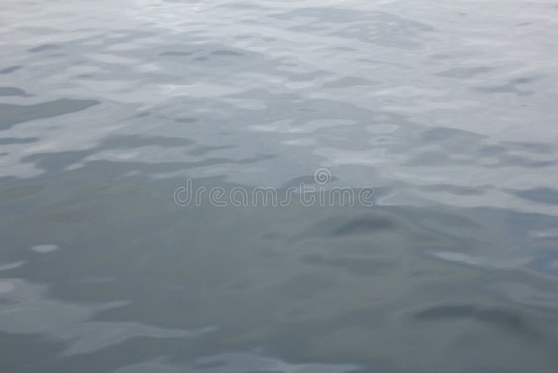 401 Murky Water Texture Stock Photos - Free & Royalty-Free Stock Photos ...