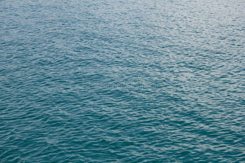 401 Murky Water Texture Stock Photos - Free & Royalty-Free Stock Photos ...