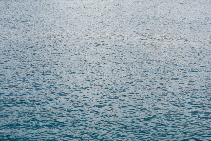 401 Murky Water Texture Stock Photos - Free & Royalty-Free Stock Photos ...