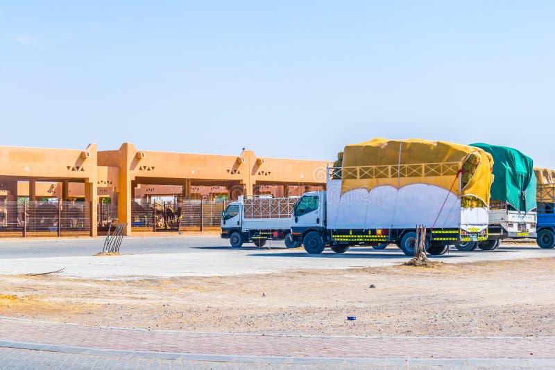 View of a Camel Market in Al Ain, UAE...IMAGE Stock Image - Image of ...