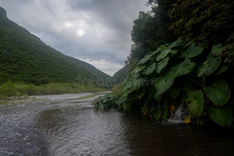 View of the Camino Over the Pilon River in the City of Monterrey Stock ...