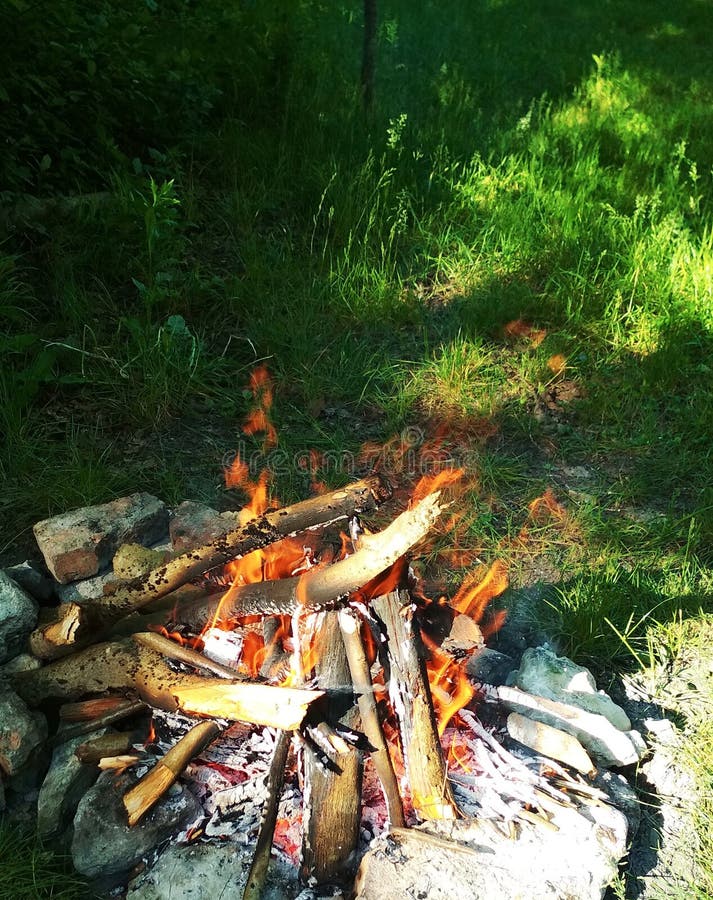 Camp Fire Rest in the Open Air Stock Photo - Image of outdoor, forest ...