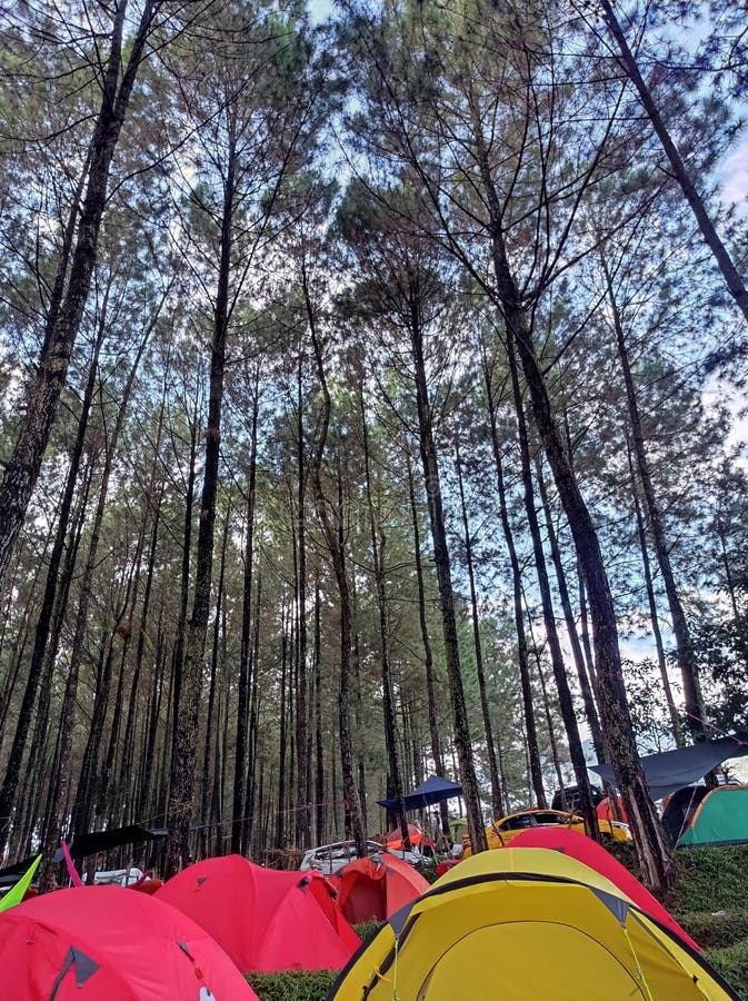 The View at the Campsite in the Morning Editorial Photo - Image of ...