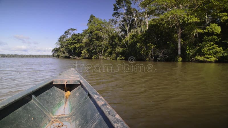 View from a Canoe on the Amazon River, through the Rainfores Stock ...