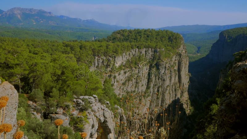 Sheer Cliffs of the Canyon among the Green Forest.a View of the ...