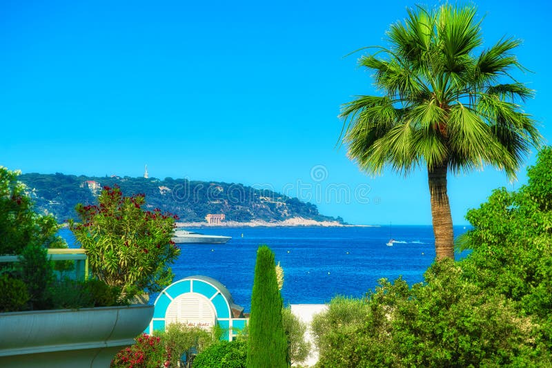 A View of Cap Martin, a Palm Tree and the Sea Editorial Photography ...