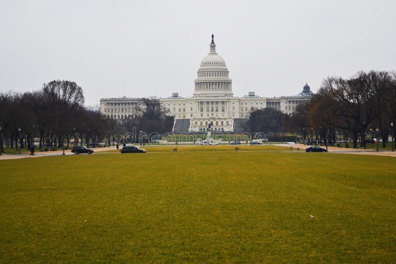 Smithsonian Museum of Natural History Main Rotunda Editorial Stock ...